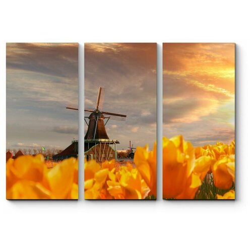 Модульная картина Ветряная мельница и желтые тюльпаны на закате 130x93