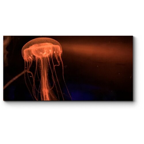 Модульная картина Красная-прекрасная медуза 40x20