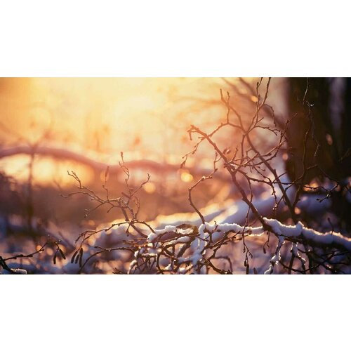Картина на холсте 60x110 Альянс Лес "Боке природа свет зима тепло" на подрамнике / интерьер/ декор