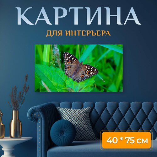 Картина на холсте "Бабочка пан с цвет загар, вонг нимфалид, насекомое" на подрамнике 75х40 см. для интерьера