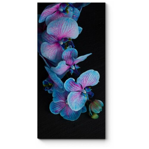 Модульная картина Голубая орхидея40x80