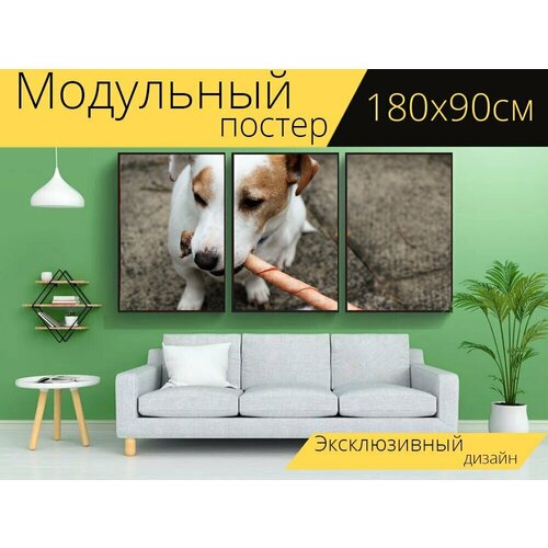 Модульный постер "Джек рассел, терьер, собака" 180 x 90 см. для интерьера