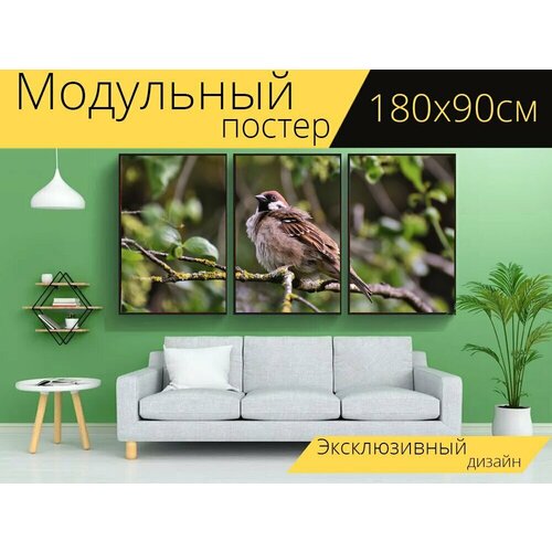 Модульный постер "Воробей, сперлинг, птица" 180 x 90 см. для интерьера