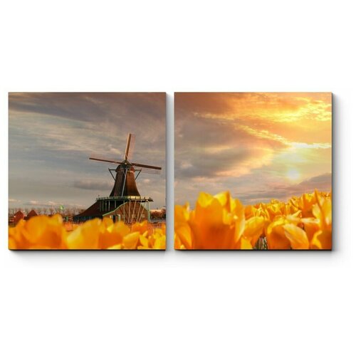 Модульная картина Ветряная мельница и желтые тюльпаны на закате 180x90