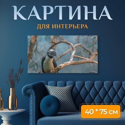 Картина на холсте "Птица, зоопарк, животное" на подрамнике 75х40 см. для интерьера