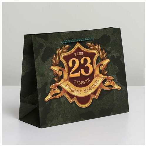 Пакет ламинированный горизонтальный «С 23 февраля», MS 23 × 18 × 8 см