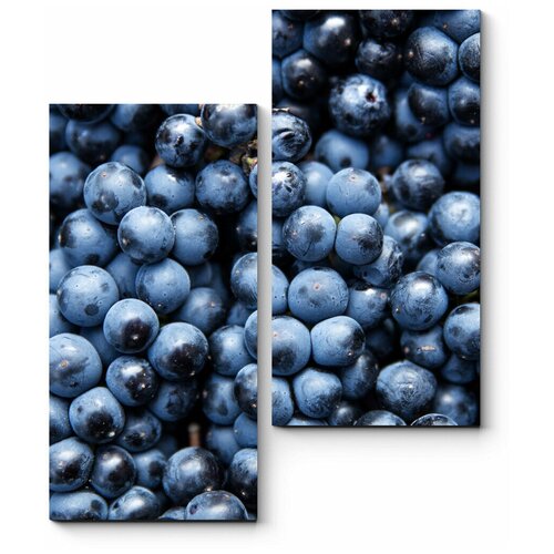 Модульная картина Гроздья винограда 50x63