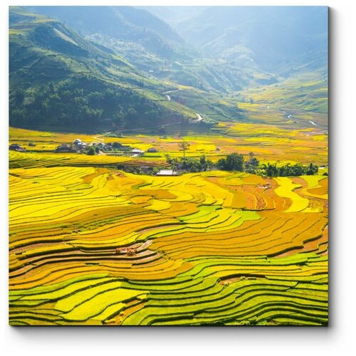 Модульная картина Рисовые поля у подножия гор Вьетнама 90x90