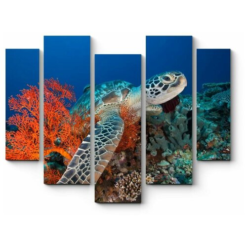 Модульная картина Морская черепаха в кораллах121x98