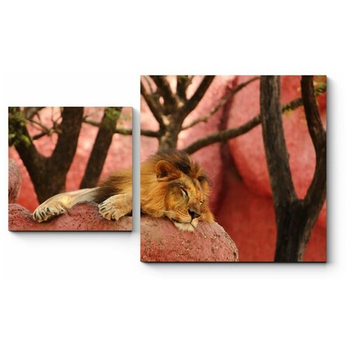 Модульная картина Африканский лев отдыхает120x72