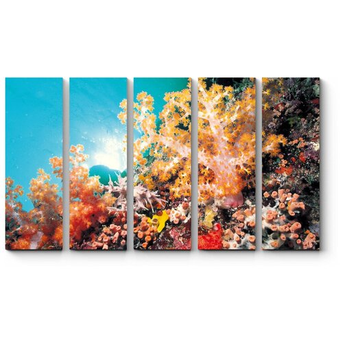 Модульная картина Яркий коралловый мир 110x66