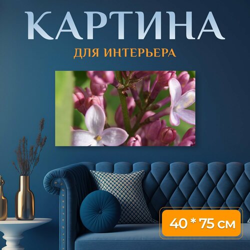 Картина на холсте "Цветок, фиолетовый, цветочный" на подрамнике 75х40 см. для интерьера