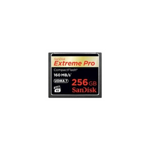 Карта памяти SanDisk Compact Flash 256 ГБ, R/W 160/140 МБ/с, 1 шт., черный