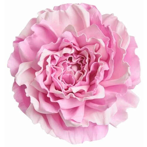 Заколка-брошь для волос/одежды/сумки крупный цветок роза розовый двухцветный 0809м