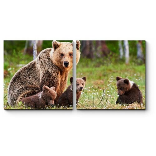 Модульная картина Семья очаровательных медведей 70x35
