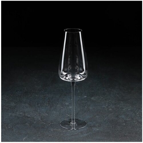 Бокал стеклянный для вина Амьен, 280 мл, 23,1х6,3х4
