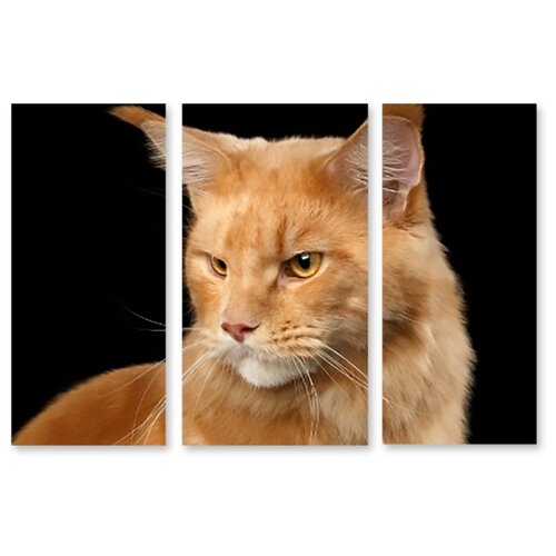 Модульная картина на холсте "Рыжий кот" 90x62 см