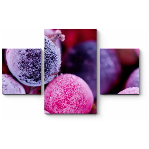 Модульная картина Зимние ягоды 160x104