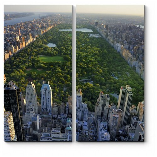 Модульная картина Центральный парк с высоты птичьего полета 40x40