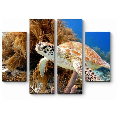 Модульная картина Черепаха, плывущая в коралловом рифе 130x98