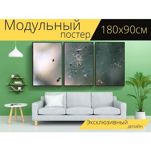 Модульный постер "Паук, хищники, аффикс" 180 x 90 см. для интерьера