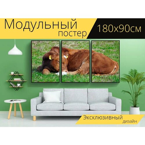 Модульный постер "Корова, жвачных животных, млекопитающее" 180 x 90 см. для интерьера