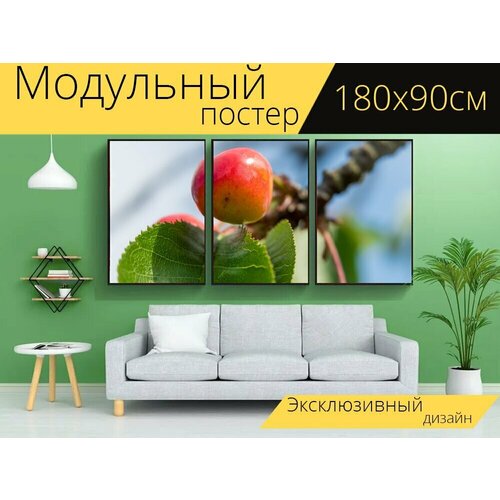 Модульный постер "Вишня, сор черри, вишневое дерево" 180 x 90 см. для интерьера