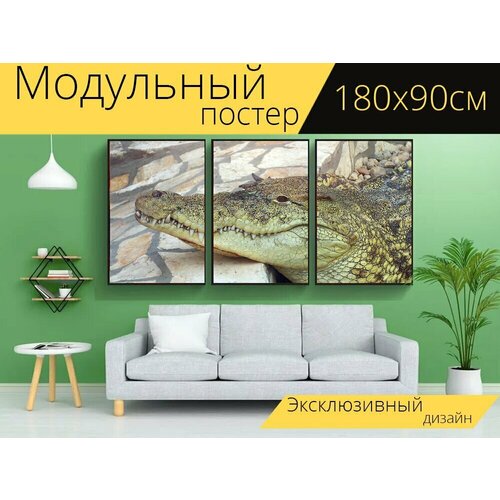 Модульный постер "Крокодил, животное, зоопарк" 180 x 90 см. для интерьера