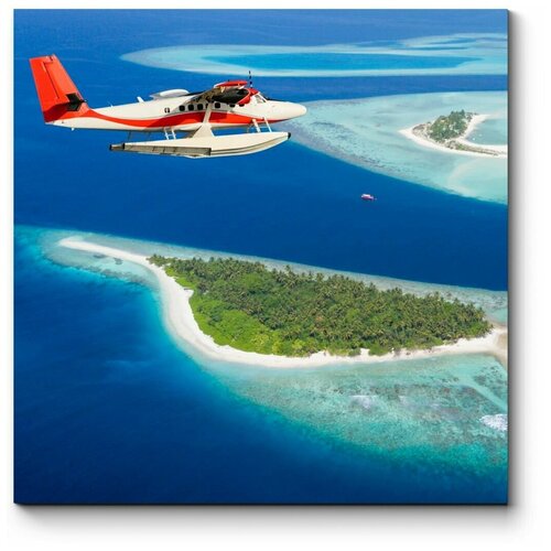 Модульная картина Летающий над Мальдивами80x80