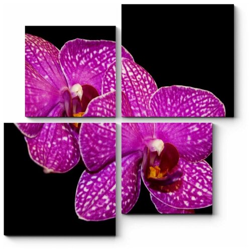 Модульная картина Тропическая орхидея 130x130