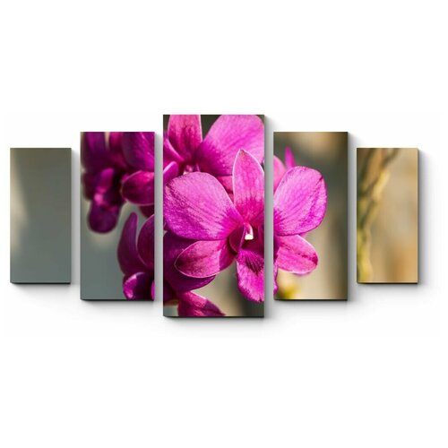 Модульная картина Королева цветов - прекрасная орхидея 150x83