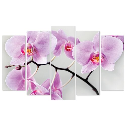 Модульная картина на холсте "Фиолетовые орхидеи" 150x96 см