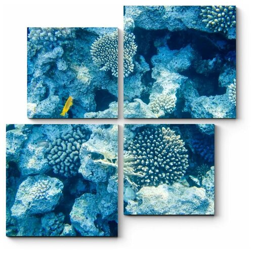 Модульная картина Коралловые рифы 80x80