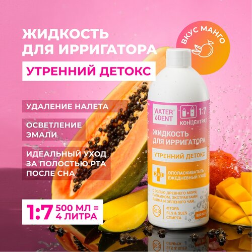 Жидкость для ирригатора WATERDENT Утренний детокс 500 мл