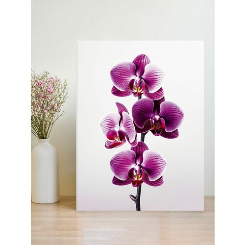 Картина на стену Орхидеи 30х40 см №4