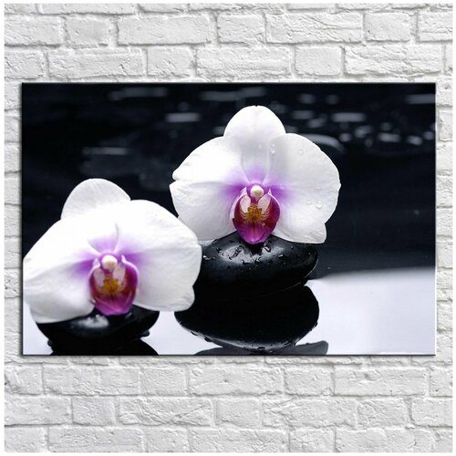 Картина на Стекле - "Белые орхидеи", размер 60х40 см