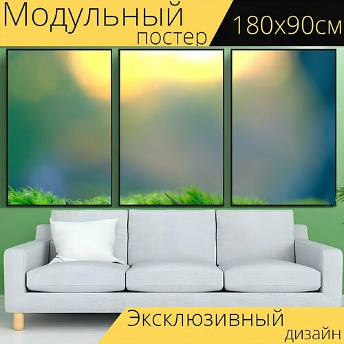 Модульный постер "Мох, завод, лес" 180 x 90 см. для интерьера