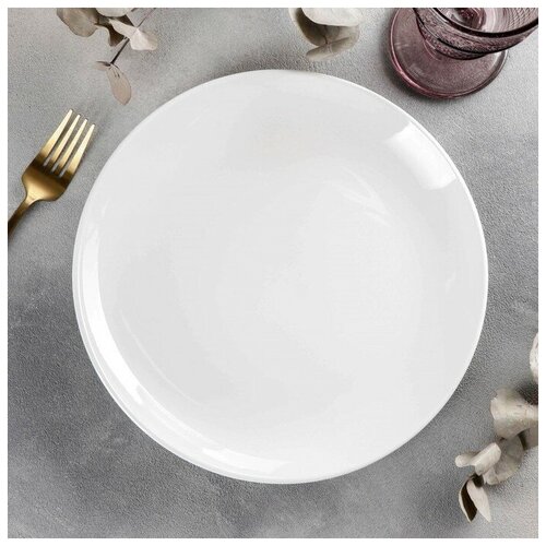 Тарелка фарфоровая обеденная с утолщённым краем Wilmax Olivia Pro, d=25,5 см, цвет белый