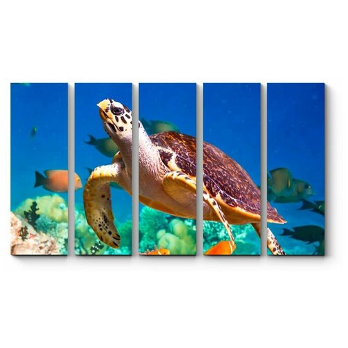 Модульная картина Черепаха в коралловом рифе90x54