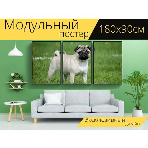 Модульный постер "Мопс, луг, собака" 180 x 90 см. для интерьера