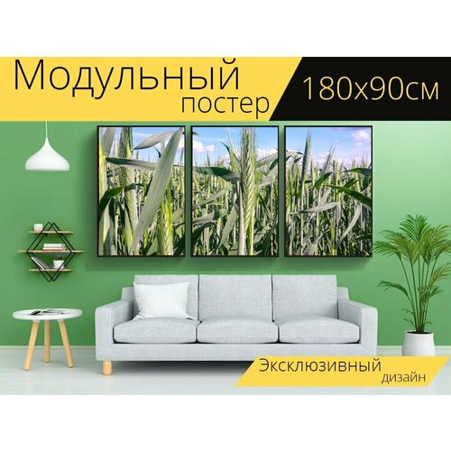 Модульный постер "Кукуруза, кукуруза в початках, зеленый" 180 x 90 см. для интерьера