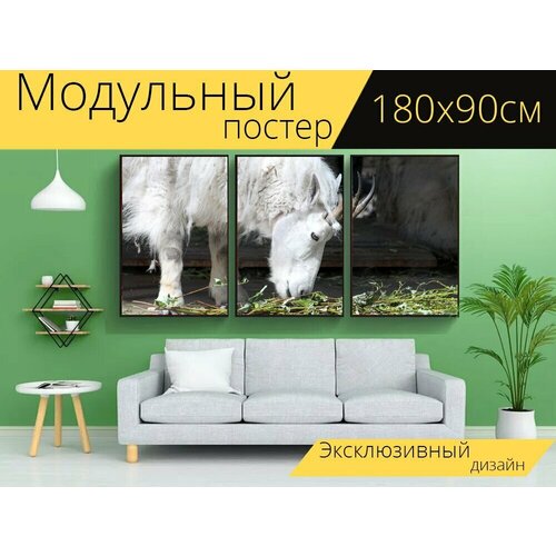 Модульный постер "Снежная коза, белая коза, коза" 180 x 90 см. для интерьера