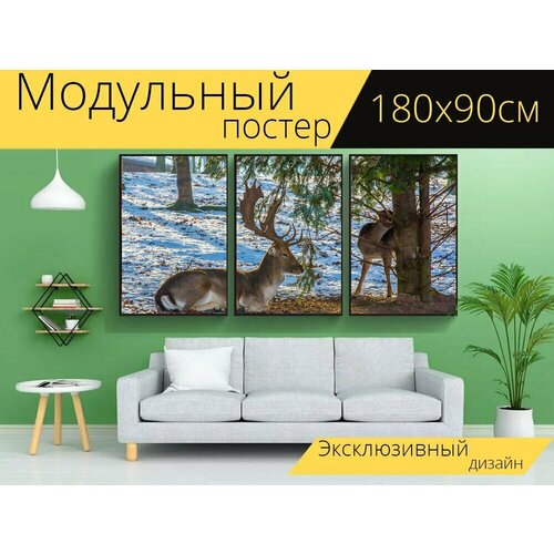 Модульный постер "Лань, олень, дикий" 180 x 90 см. для интерьера