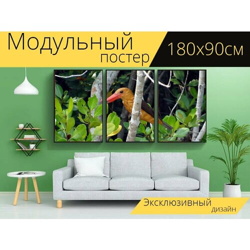 Модульный постер "Коричневокрылый зимородок, птица, зимородок" 180 x 90 см. для интерьера