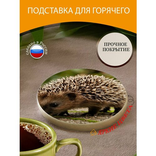 Подставка под горячее "Еж, сад, природы" 10 см. из блого мрамора