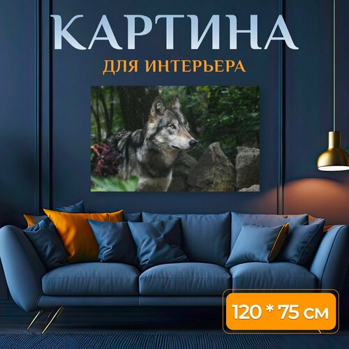 Картина на холсте "Волк, хищник, серый" на подрамнике 120х75 см. для интерьера