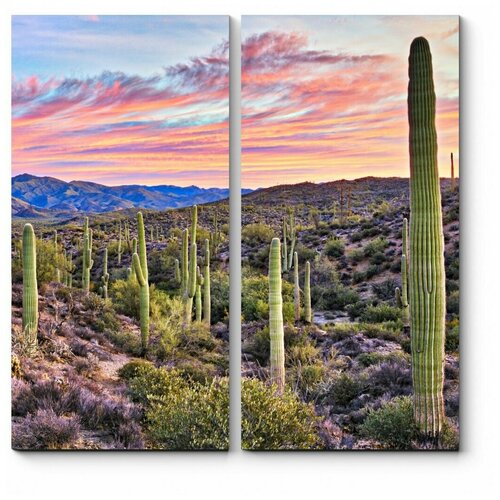 Модульная картина Закат в пустыне Соноран 140x140