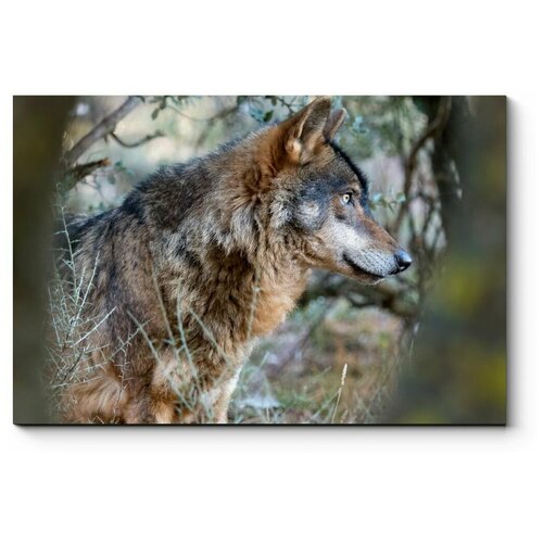 Модульная картина Волк спрятался между деревьями 110x73