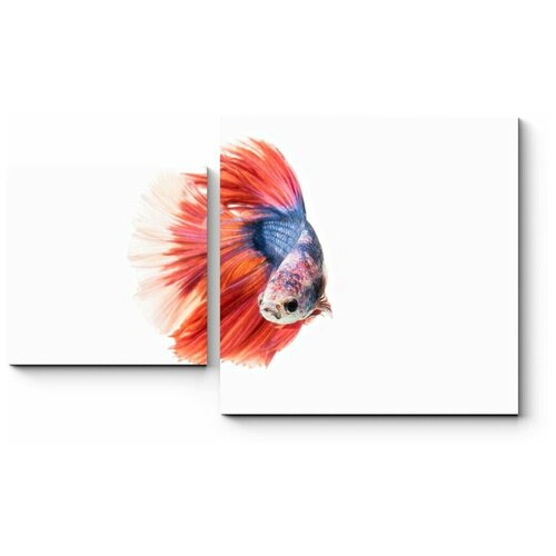 Модульная картина Красно-синяя рыбка 100x60