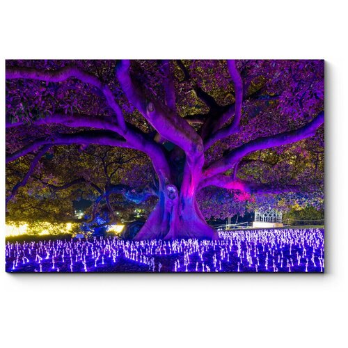Модульная картина Фестиваль света, Сидней 90x60